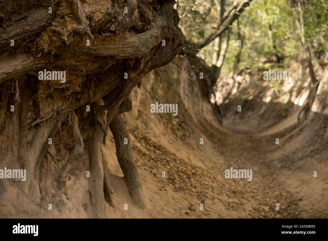 bottom of a most famous gully landform in Kazimierz Dolny called ...