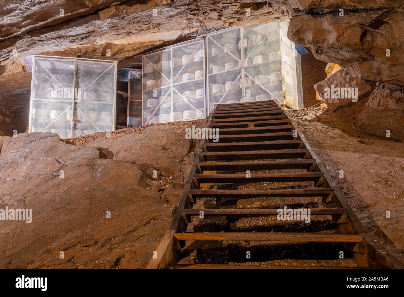 Cheddar cheese maturing in Gough's cave in Cheddar Stock Photo - Alamy