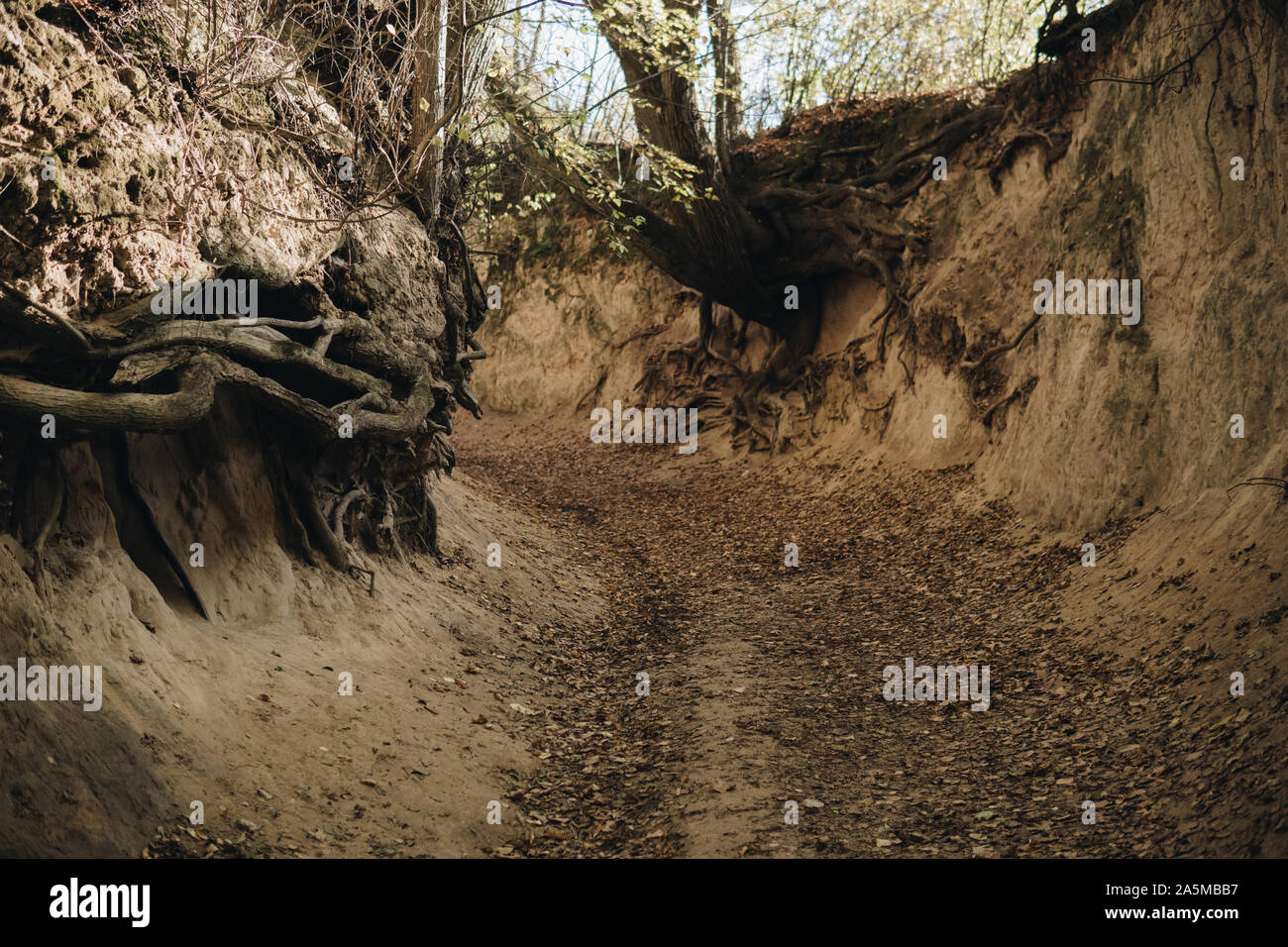 bottom of a most famous gully landform in Kazimierz Dolny called ...