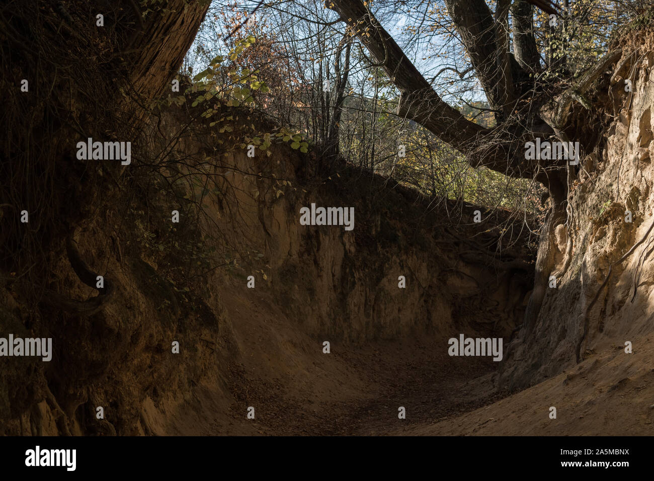 bottom of a most famous gully landform in Kazimierz Dolny called ...