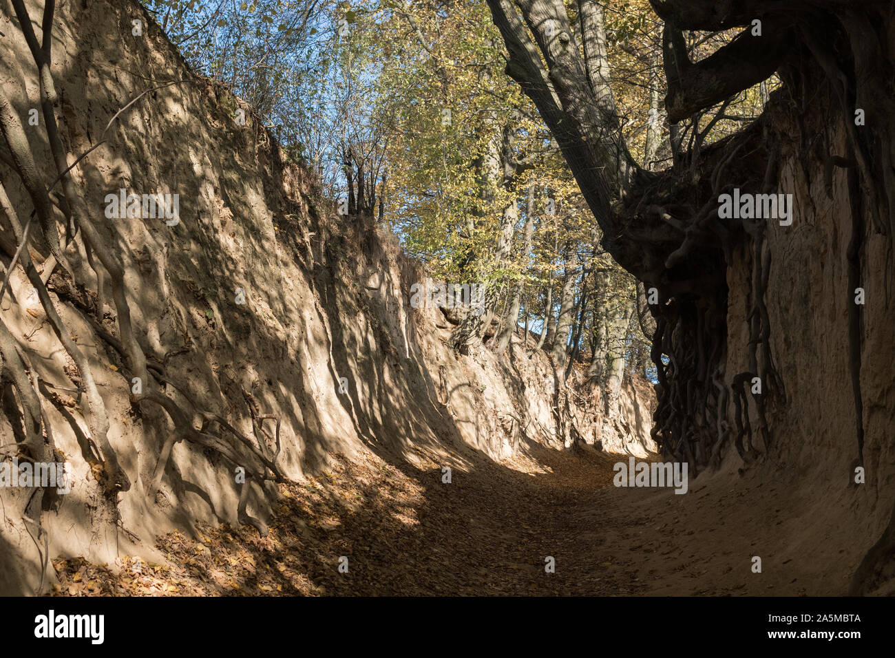 bottom of a most famous gully landform in Kazimierz Dolny called ...