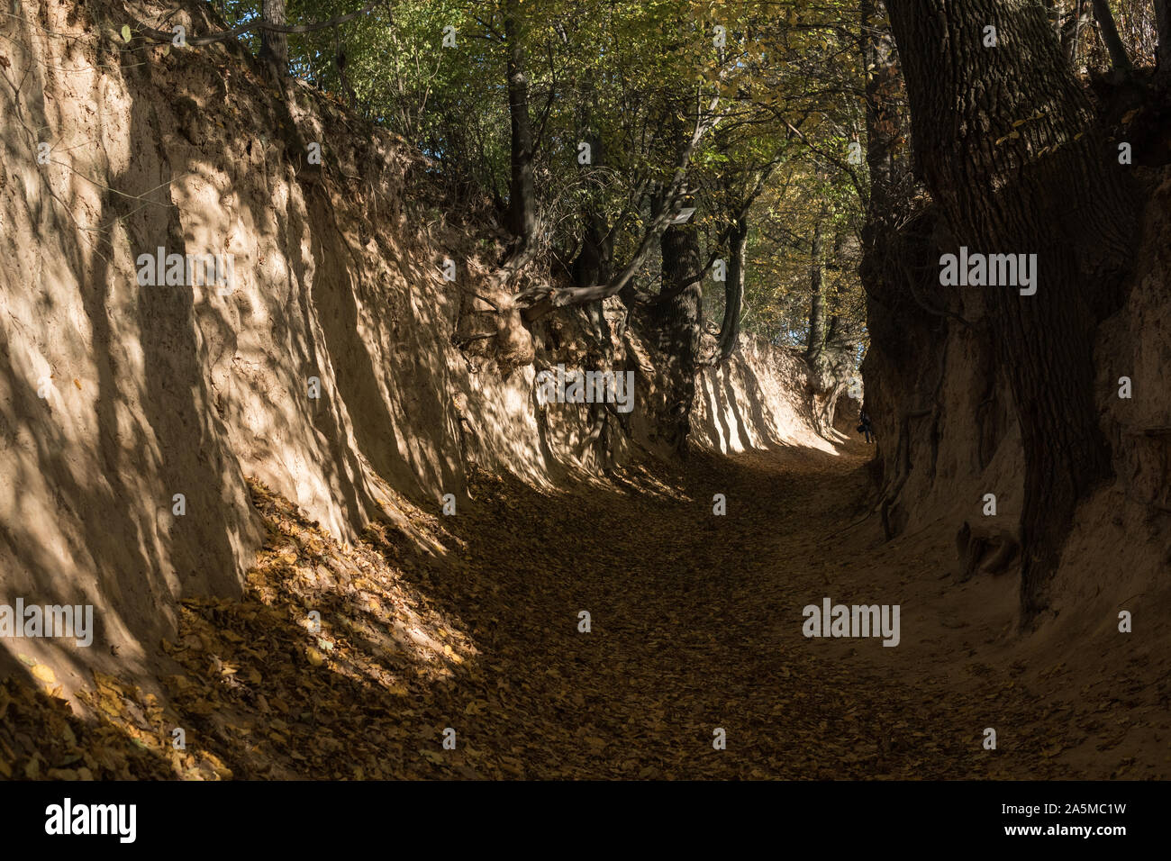 bottom of a most famous gully landform in Kazimierz Dolny called ...