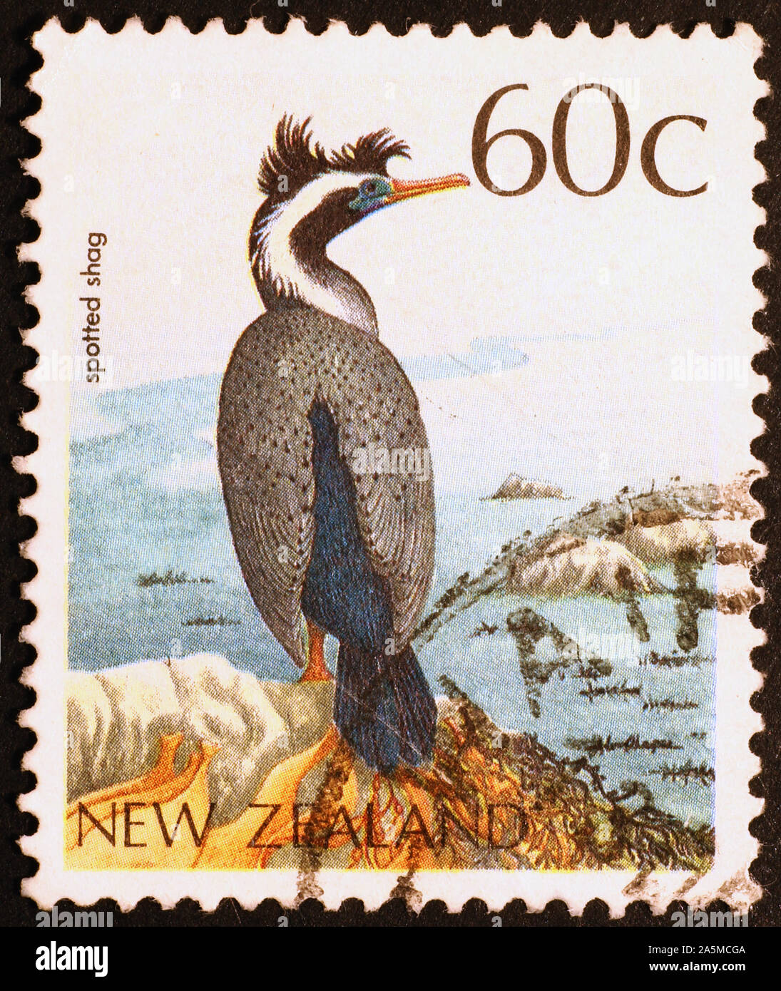 Spotted shag on New Zealand postage stamp Stock Photo - Alamy