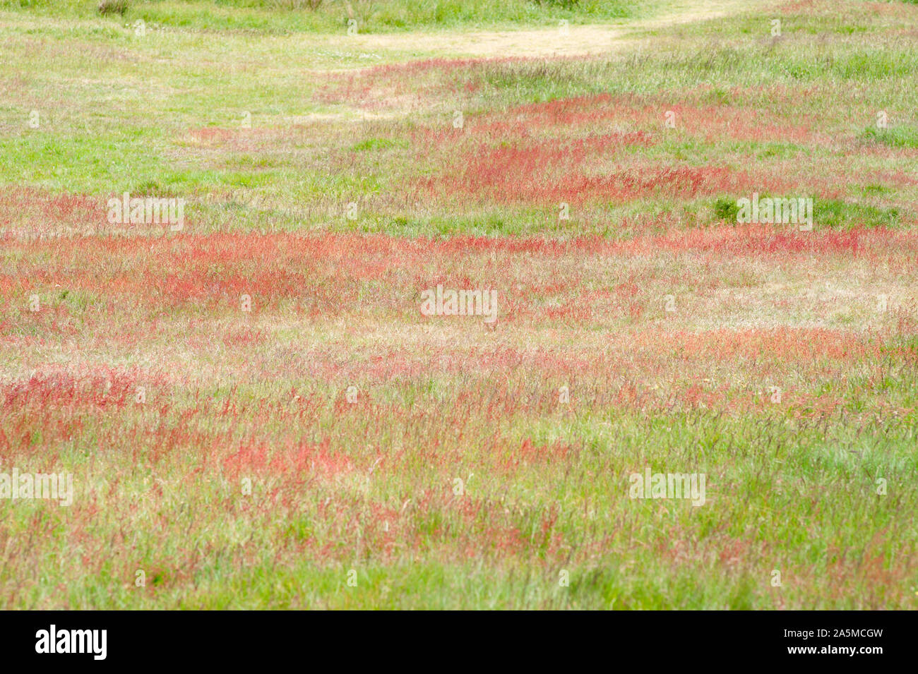 Sweden - Abstract, brief, summary, research, article, , particular ...