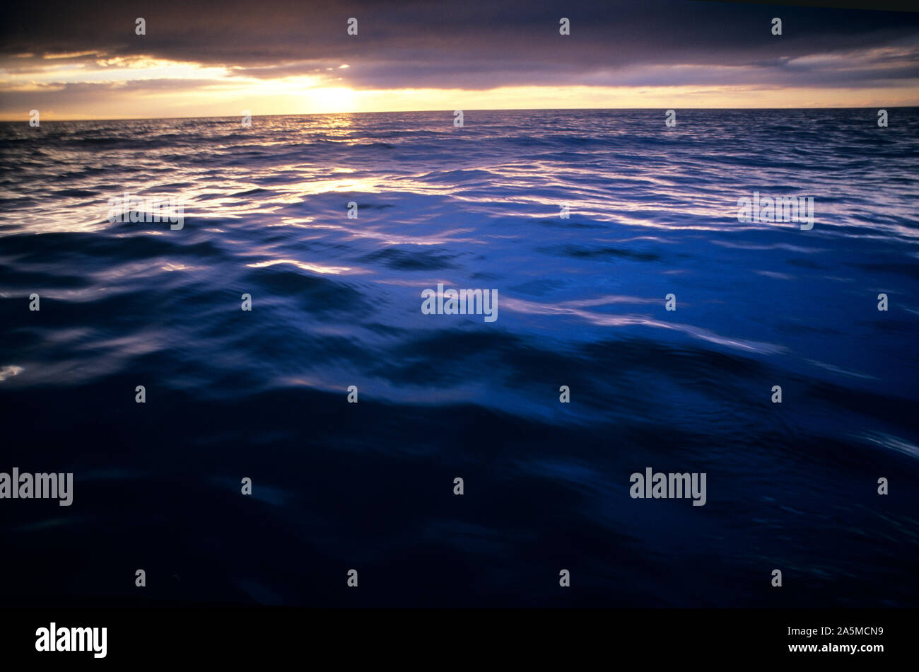 The sea, the world ocean or simply the ocean is the connected body of ...