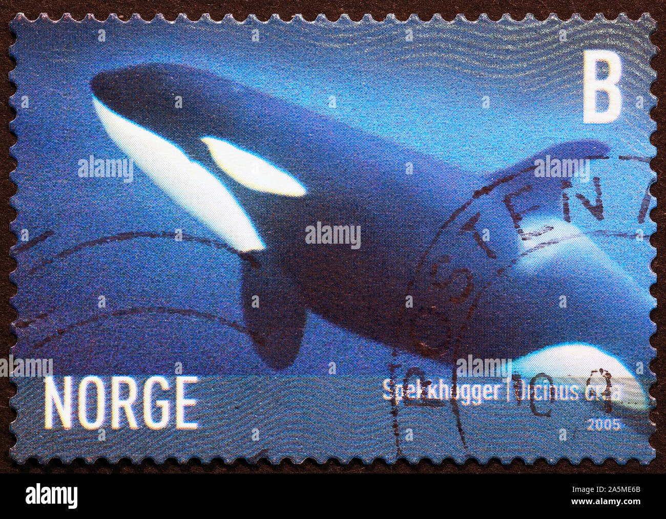 Orca on norwegian postage stamp Stock Photo - Alamy