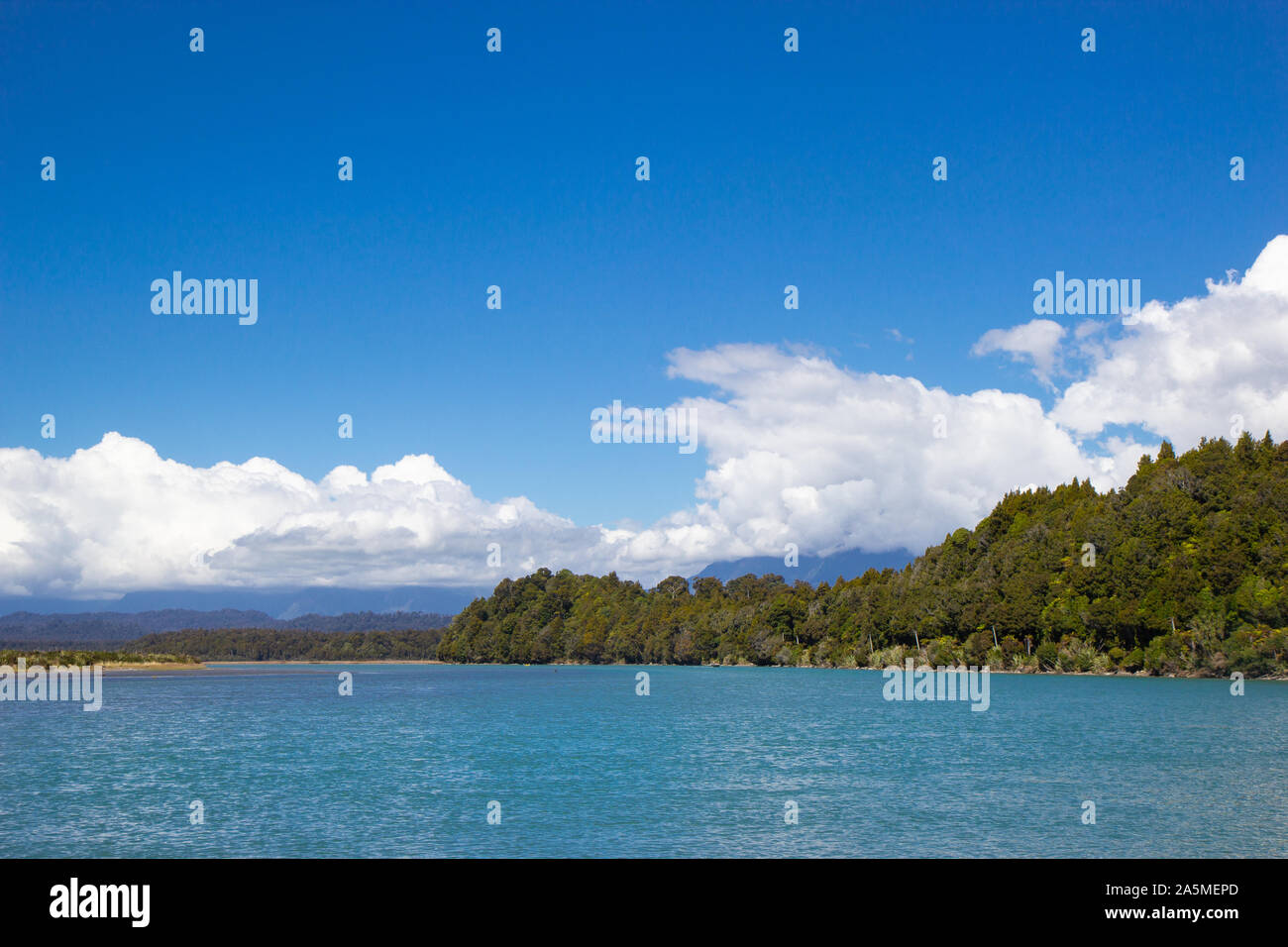 Okarito forest hi-res stock photography and images - Alamy