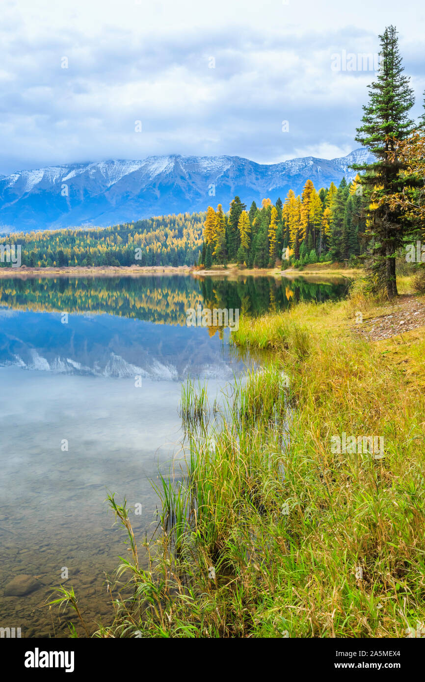 larch in fall color along rainy lake below the swan range in western ...