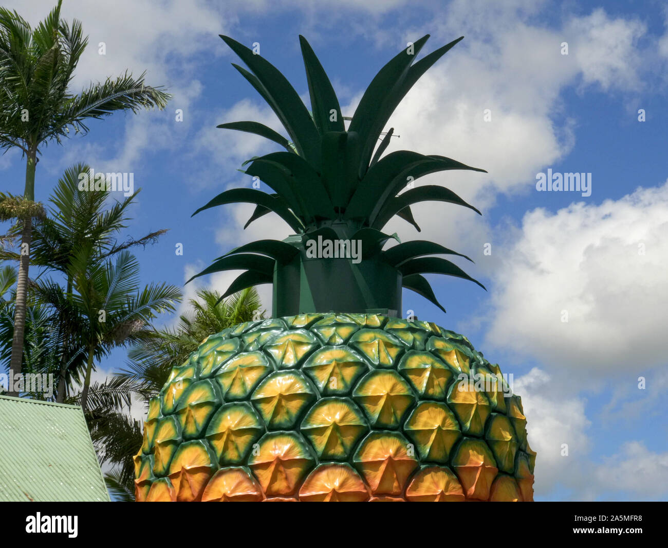 Australia the big pineapple hi-res stock photography and images - Alamy