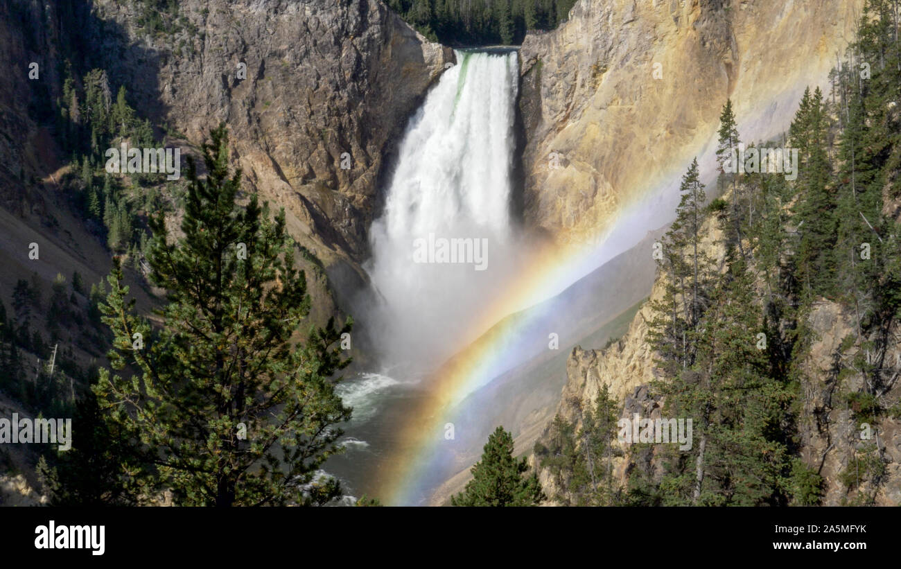 close view of lower yellowstone falls and its rainbow in yellowstone ...