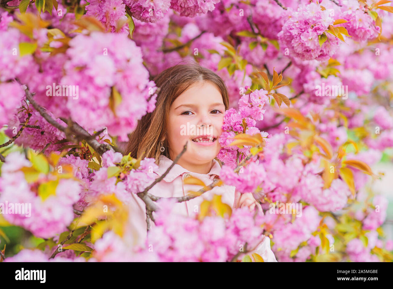 Kid on pink flowers sakura tree background. Child enjoy life without ...