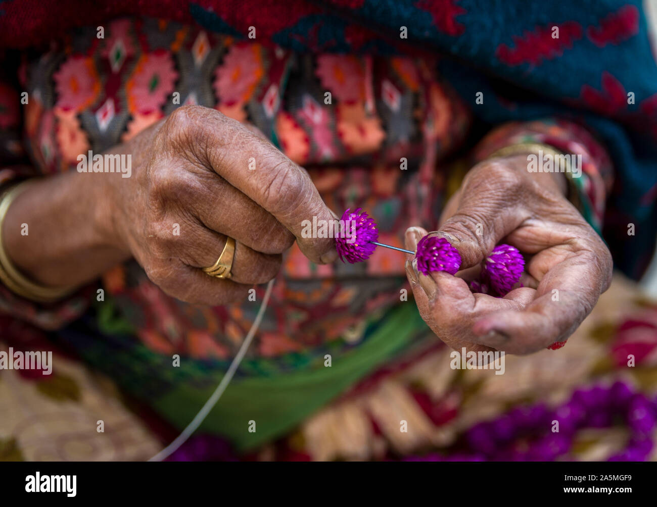 A woman makes a garland from amaranth flower for the upcoming Tihar ...