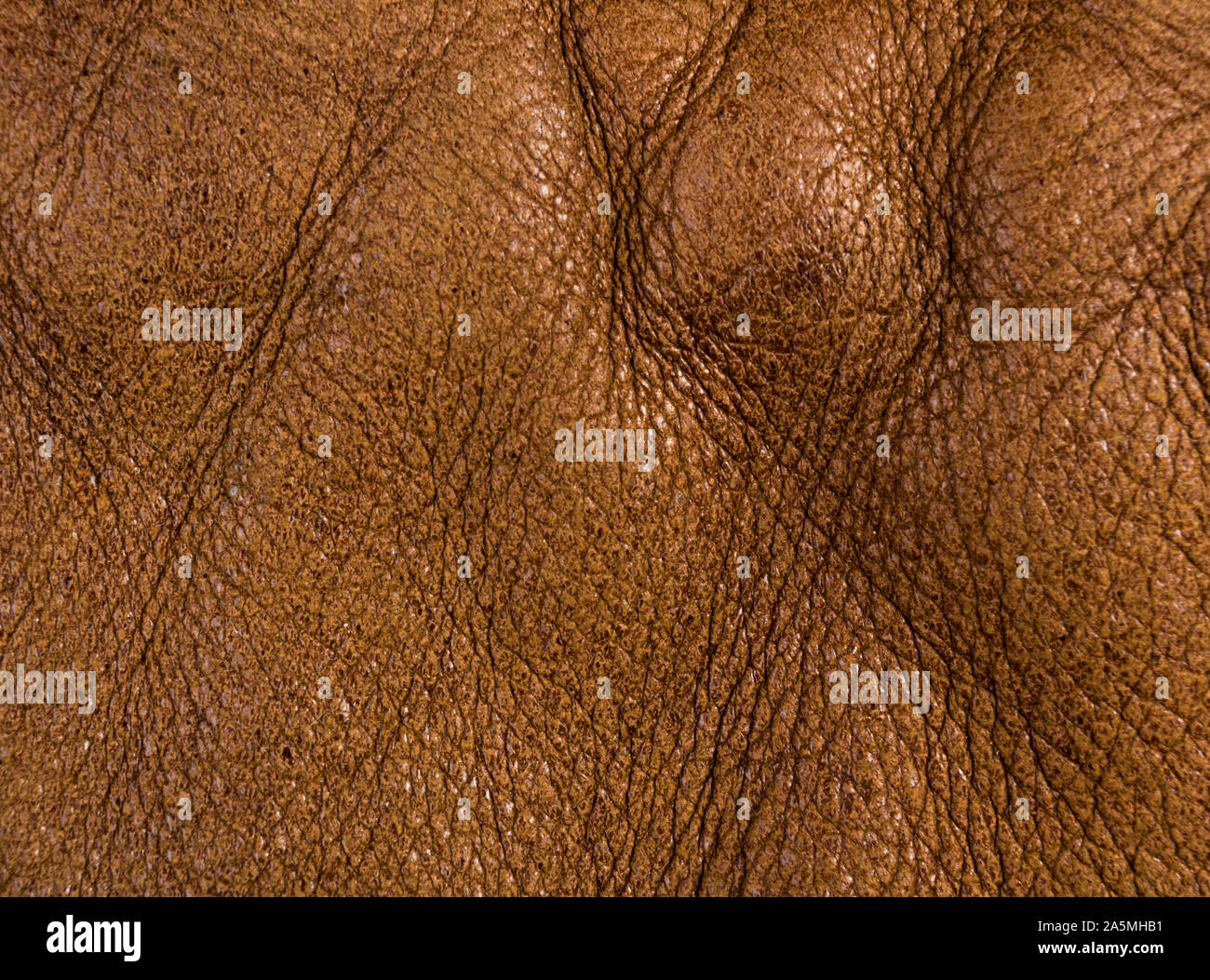 Old vintage genuine soft brown leather texture background, top layer ...
