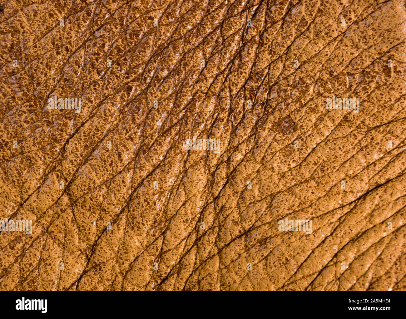 Old vintage genuine soft brown leather texture background, top layer ...