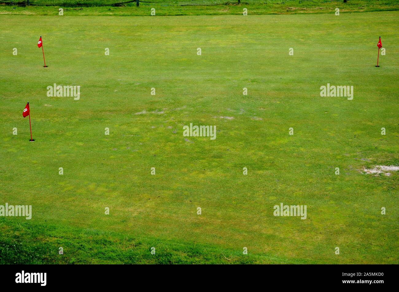 miniature golf and three red flags Stock Photo - Alamy