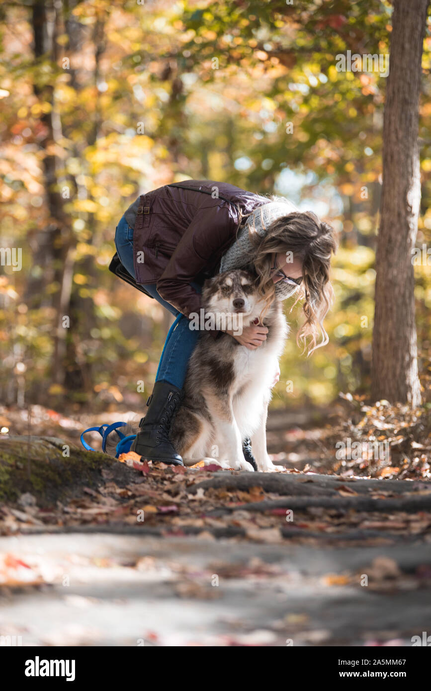 Husky Dog posing in the fall foliage Stock Photo - Alamy