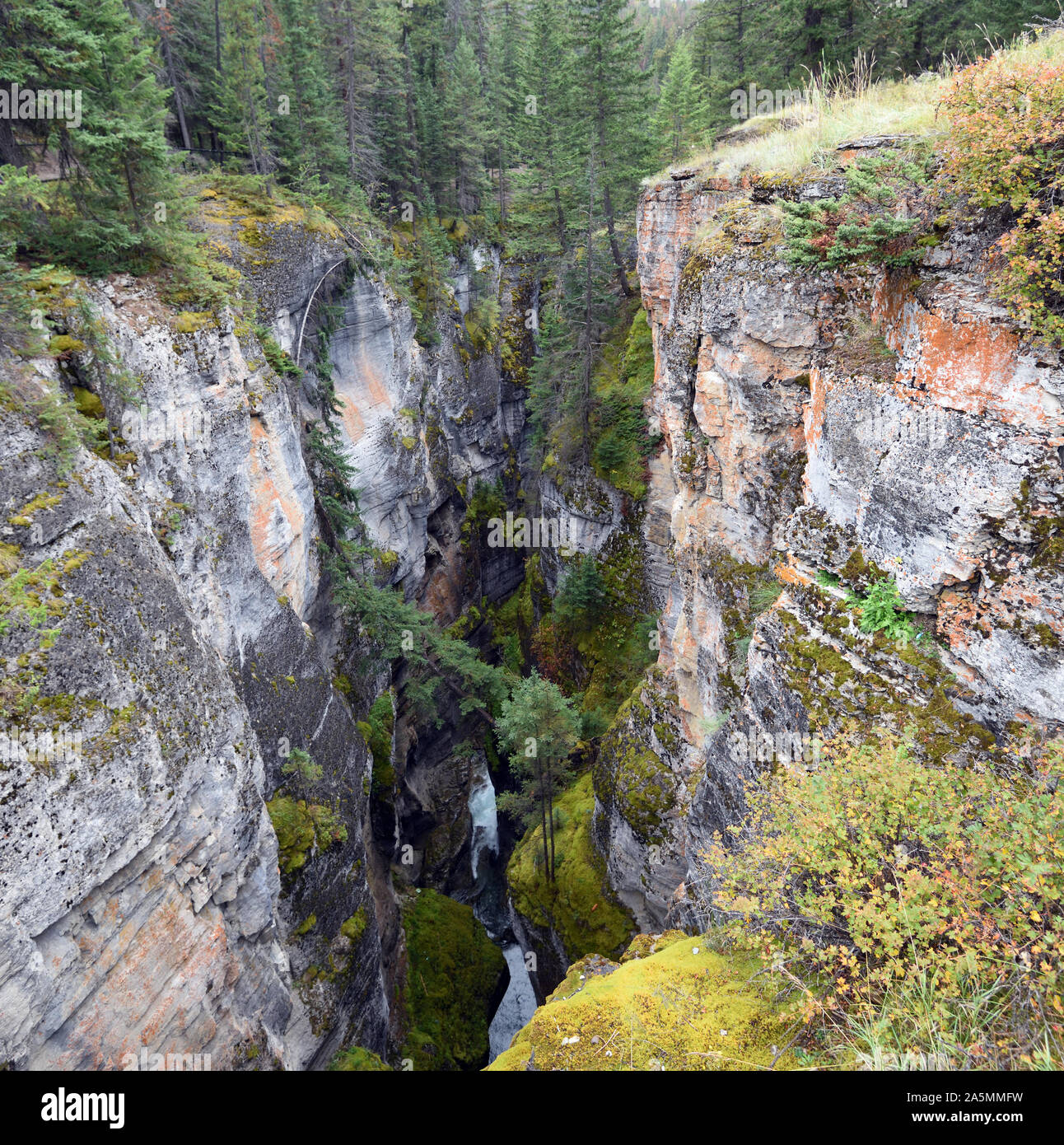 The Maligne River runs through the Maligne Canyon at the start of the ...