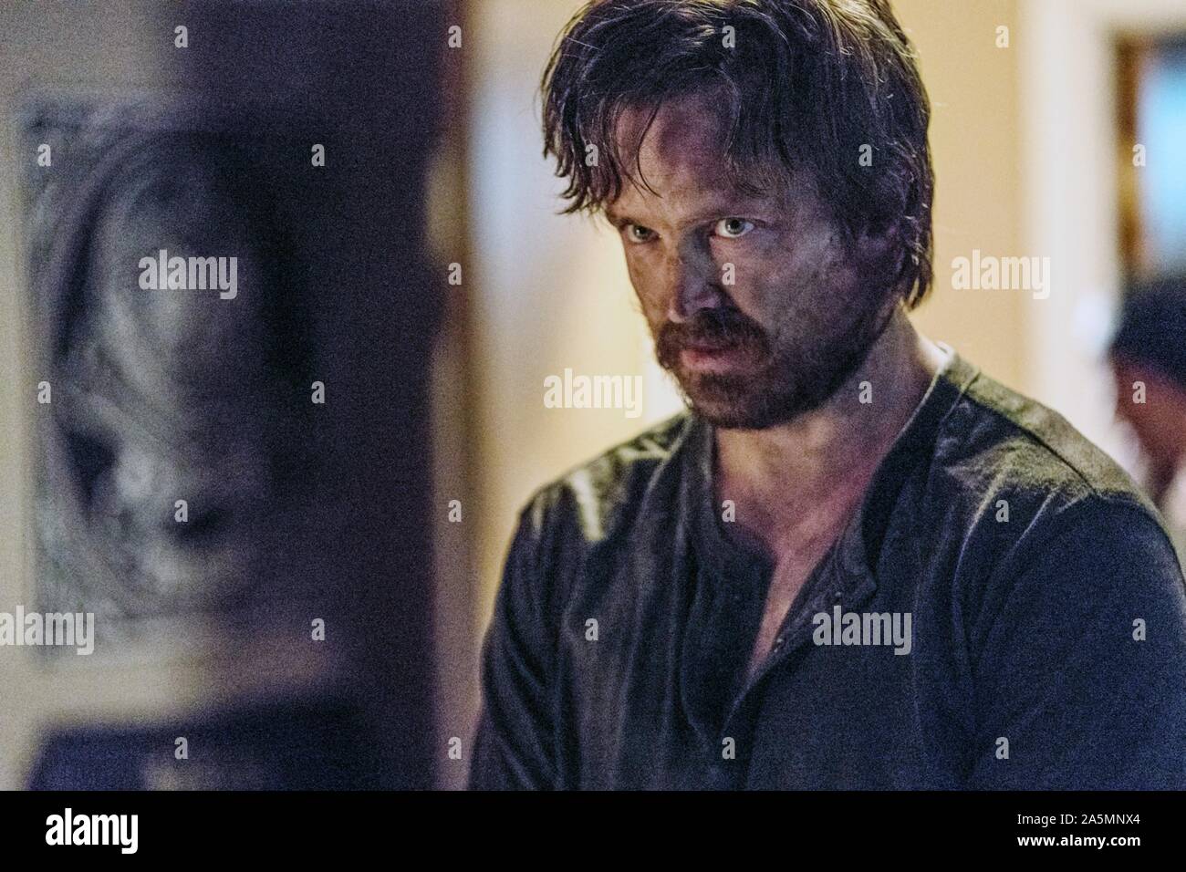 EL CAMINO: A BREAKING BAD MOVIE, Aaron Paul, 2019. ph: Ben Rothstein ...
