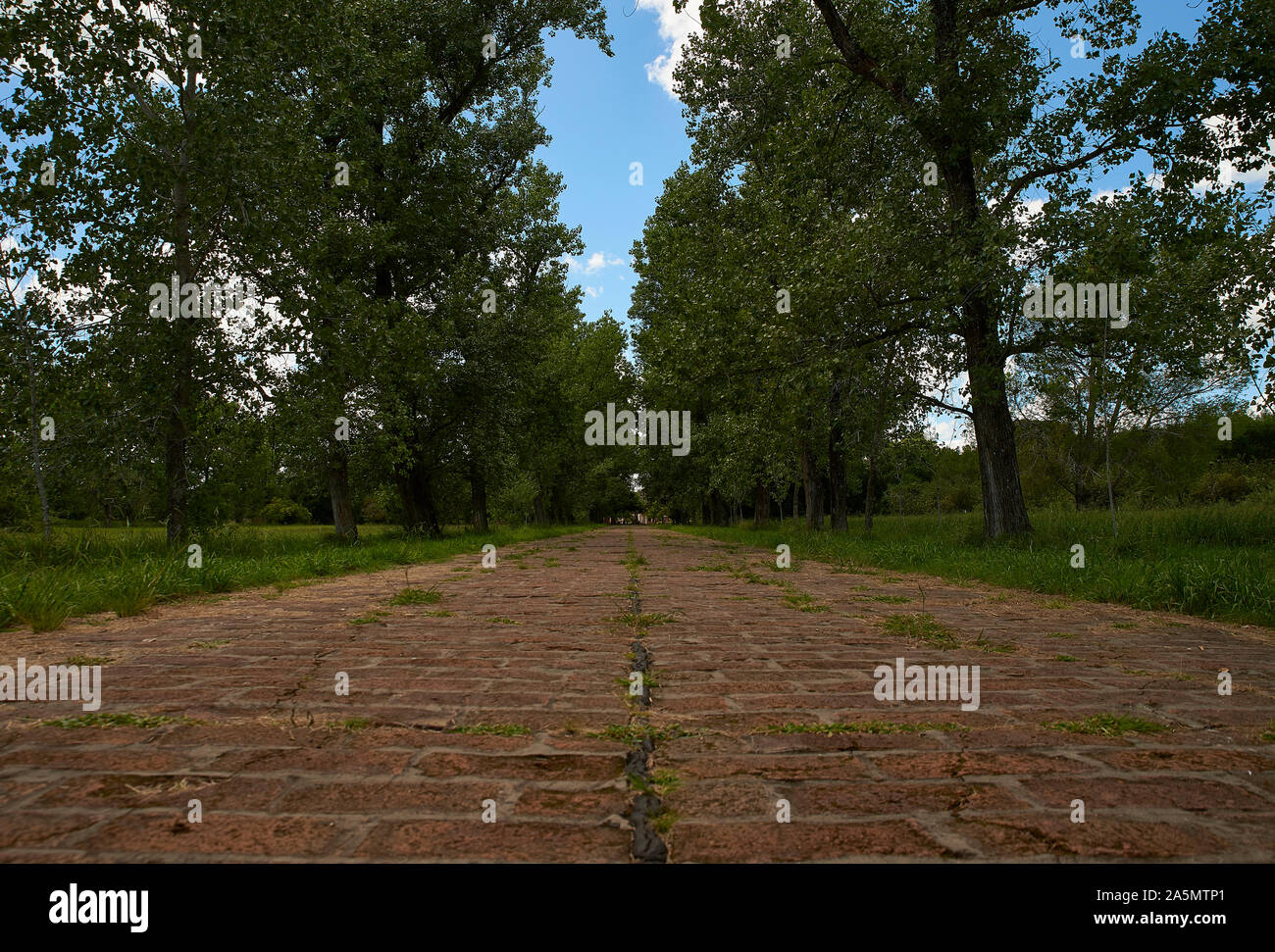 rustic brick road in private palace Stock Photo - Alamy