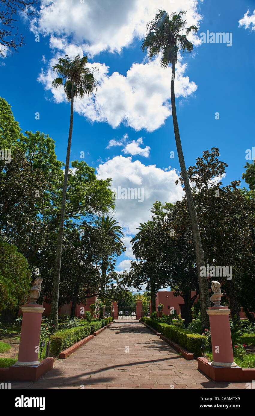 Palm trees in palace hi-res stock photography and images - Alamy