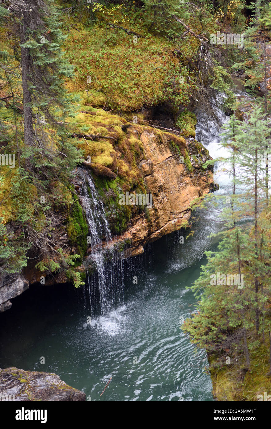 The Maligne River runs through the Maligne Canyon at the start of the ...