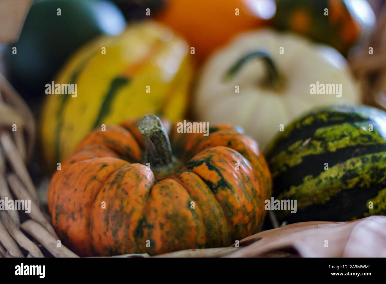 Close up assortment pumpkins hi-res stock photography and images - Alamy