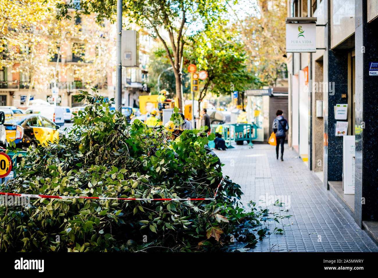 Barcelona, Spain - Nov 14 2017: Tree cutting in central Barcelona with ...