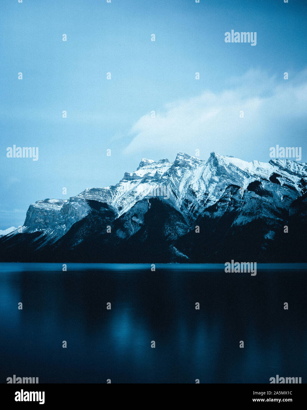 Blue hour frozen tree hi-res stock photography and images - Alamy