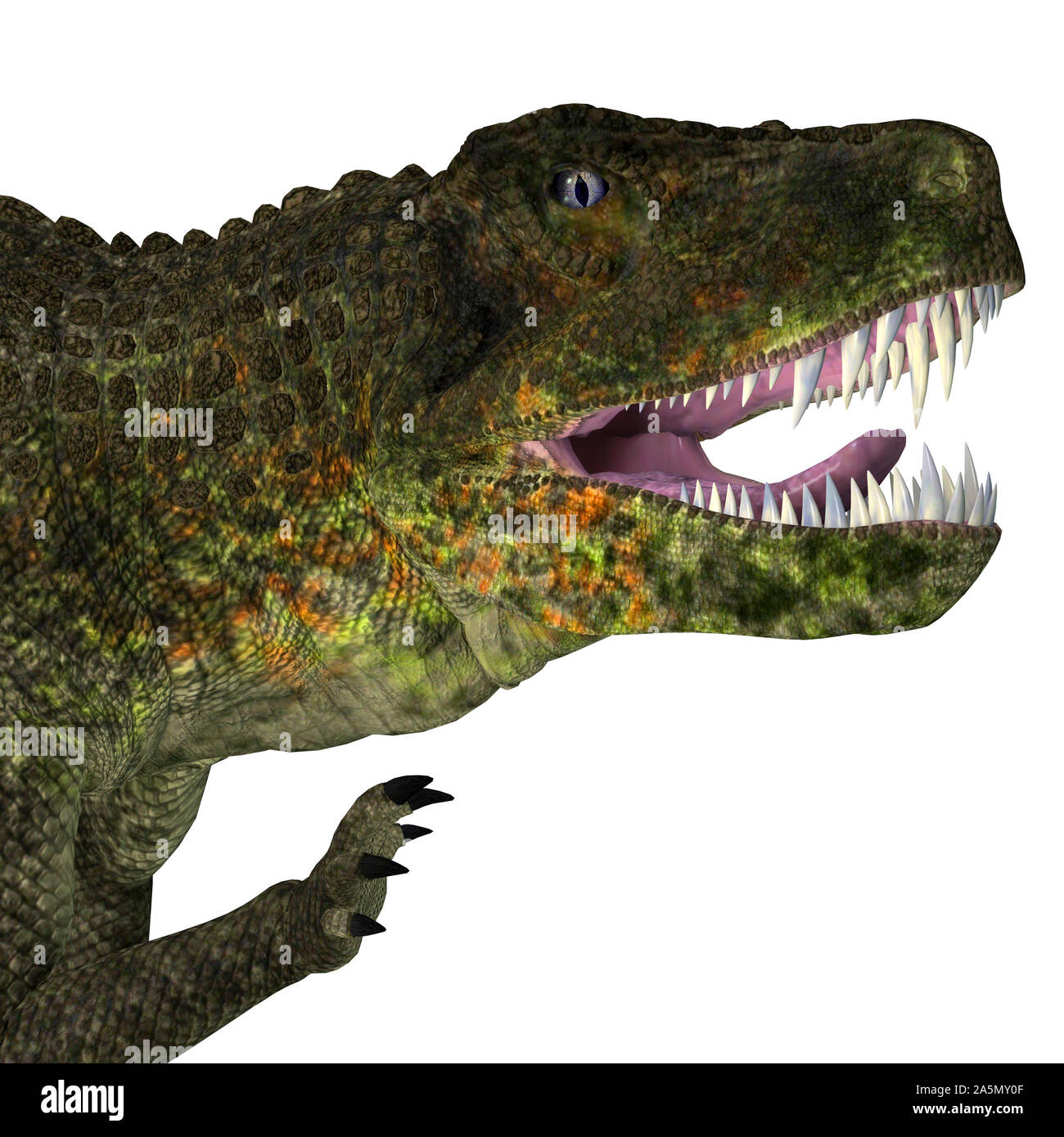Postosuchus was an carnivorous aquatic reptile that inhabited the ...