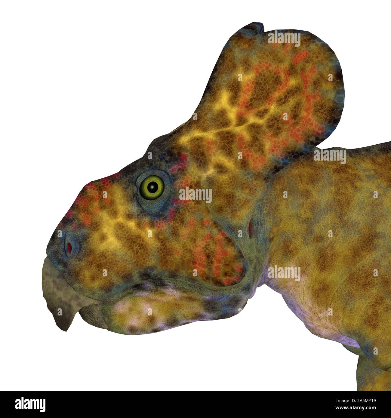 Protoceratops was a herbivorous Ceratopsian dinosaur that lived in ...