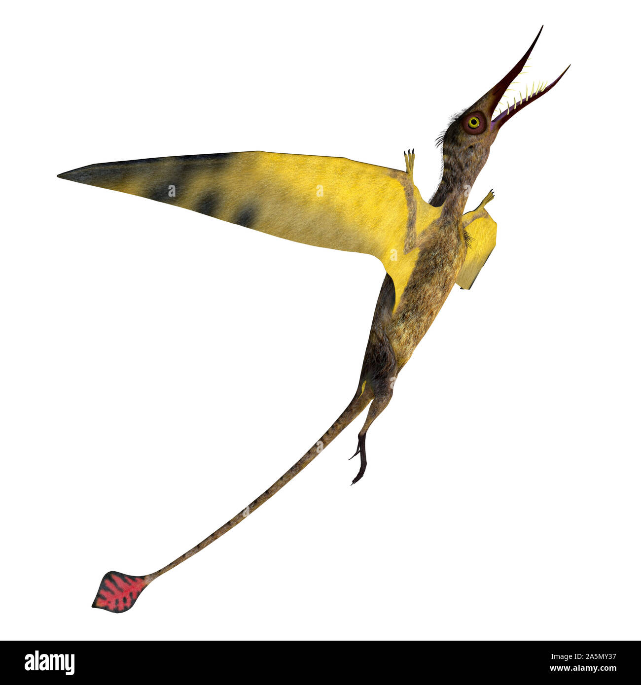 Rhamphorhynchus Dinosaur Revolution