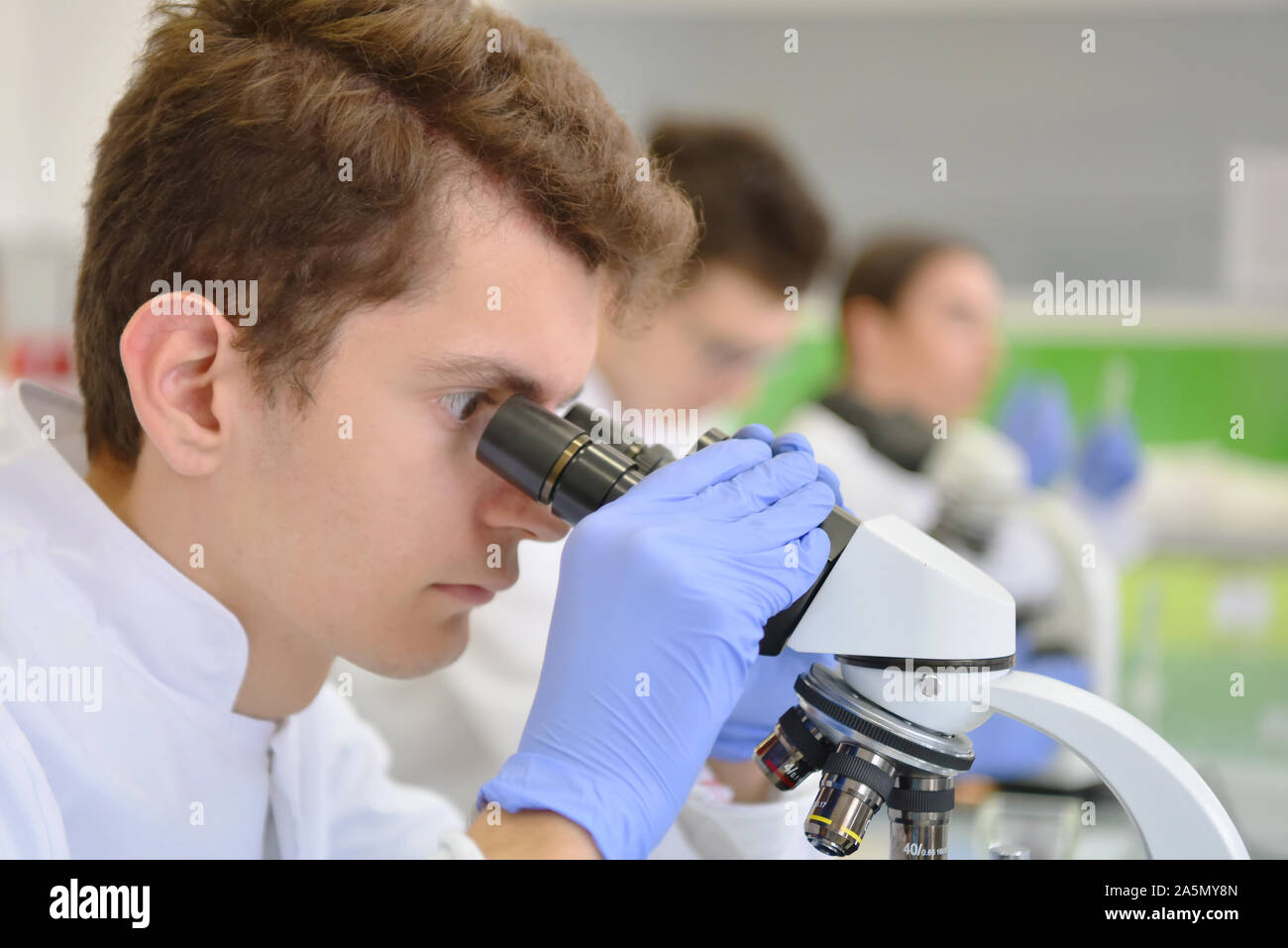 Group of Laboratory scientists working at lab with test tubes and ...