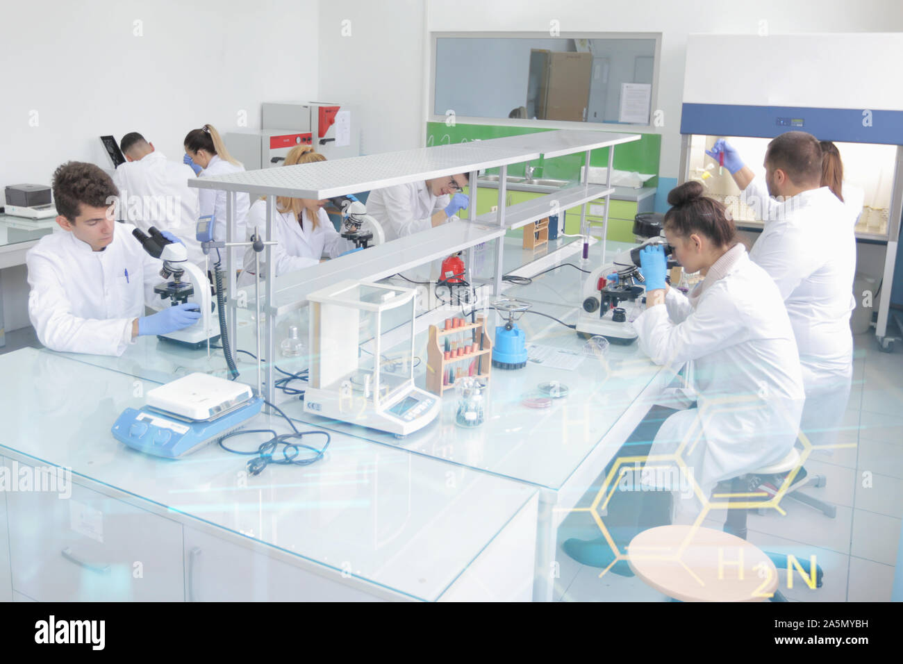 Group of young Laboratory scientists working at lab with test tubes and ...