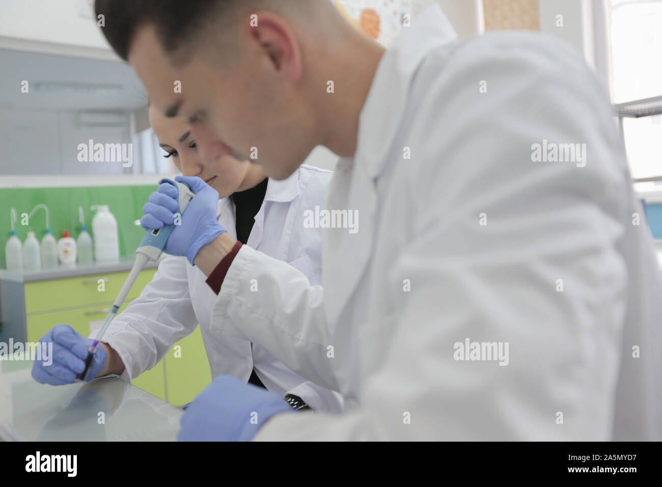 Two young Laboratory scientists working at lab with test tubes and ...