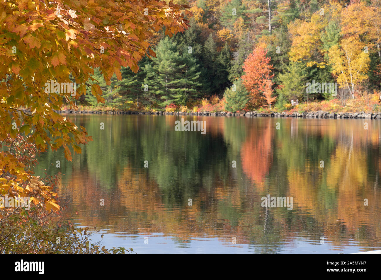 Shiny reflections of autumn forest colours at a peaceful lake in ...