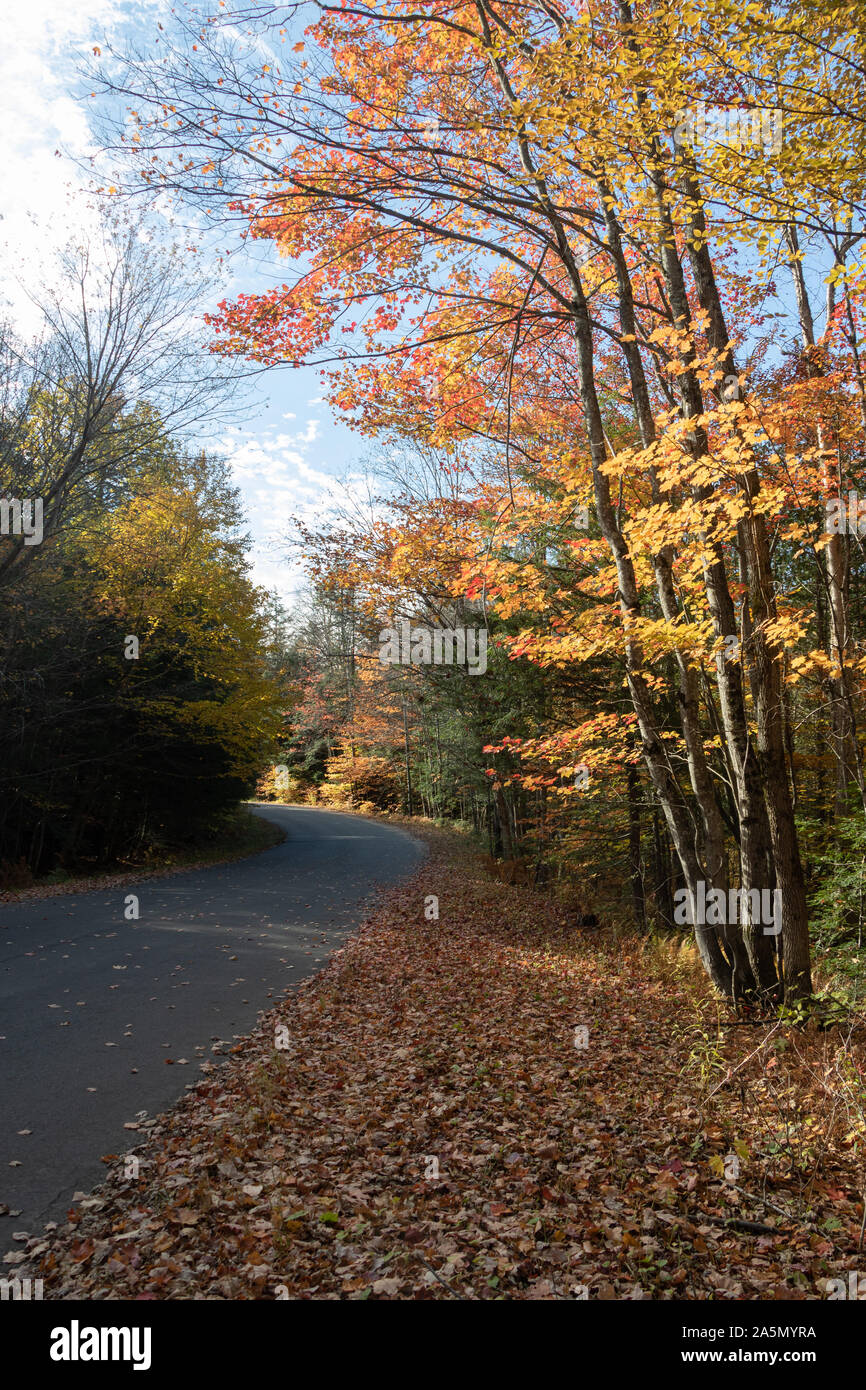 Country road with autumn foliage Stock Photo - Alamy