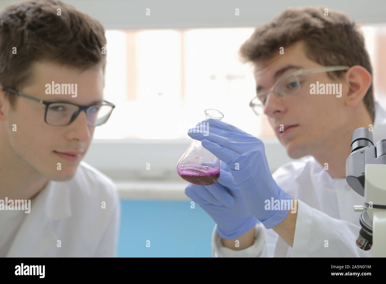 Two Young male Laboratory scientists working at lab with test tubes and ...