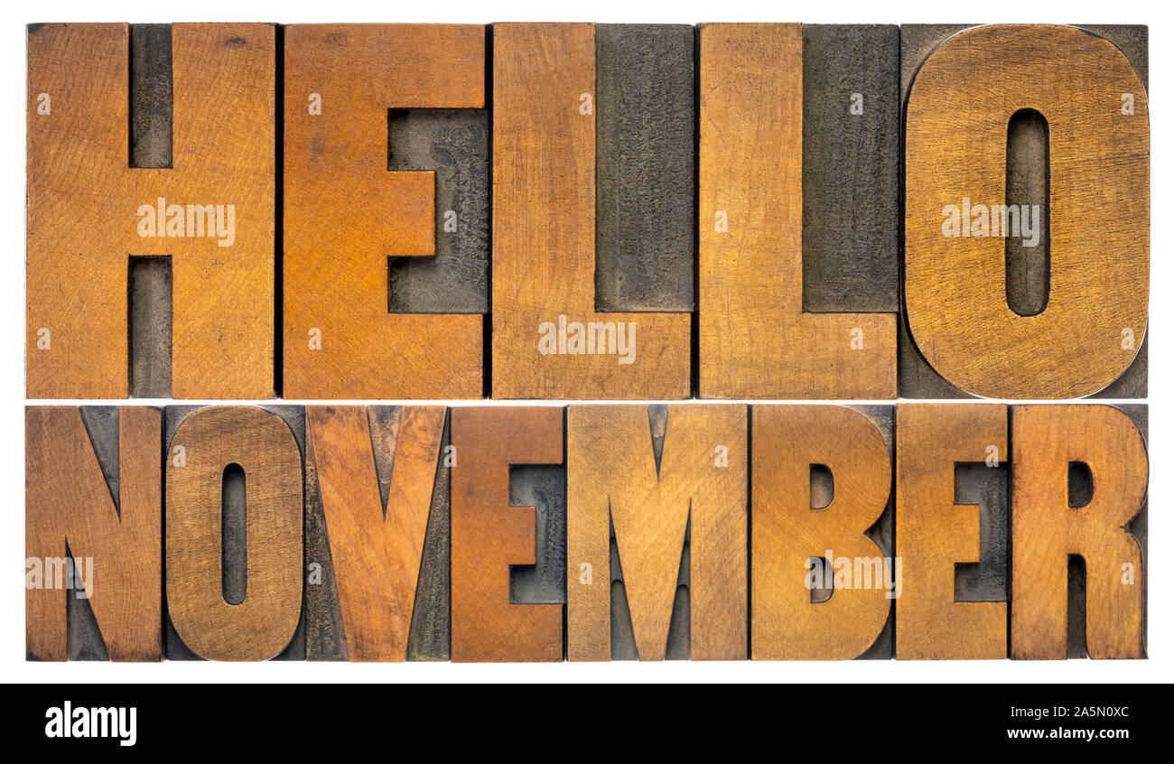 Hello November typography greeting card - isolated word abstract in ...