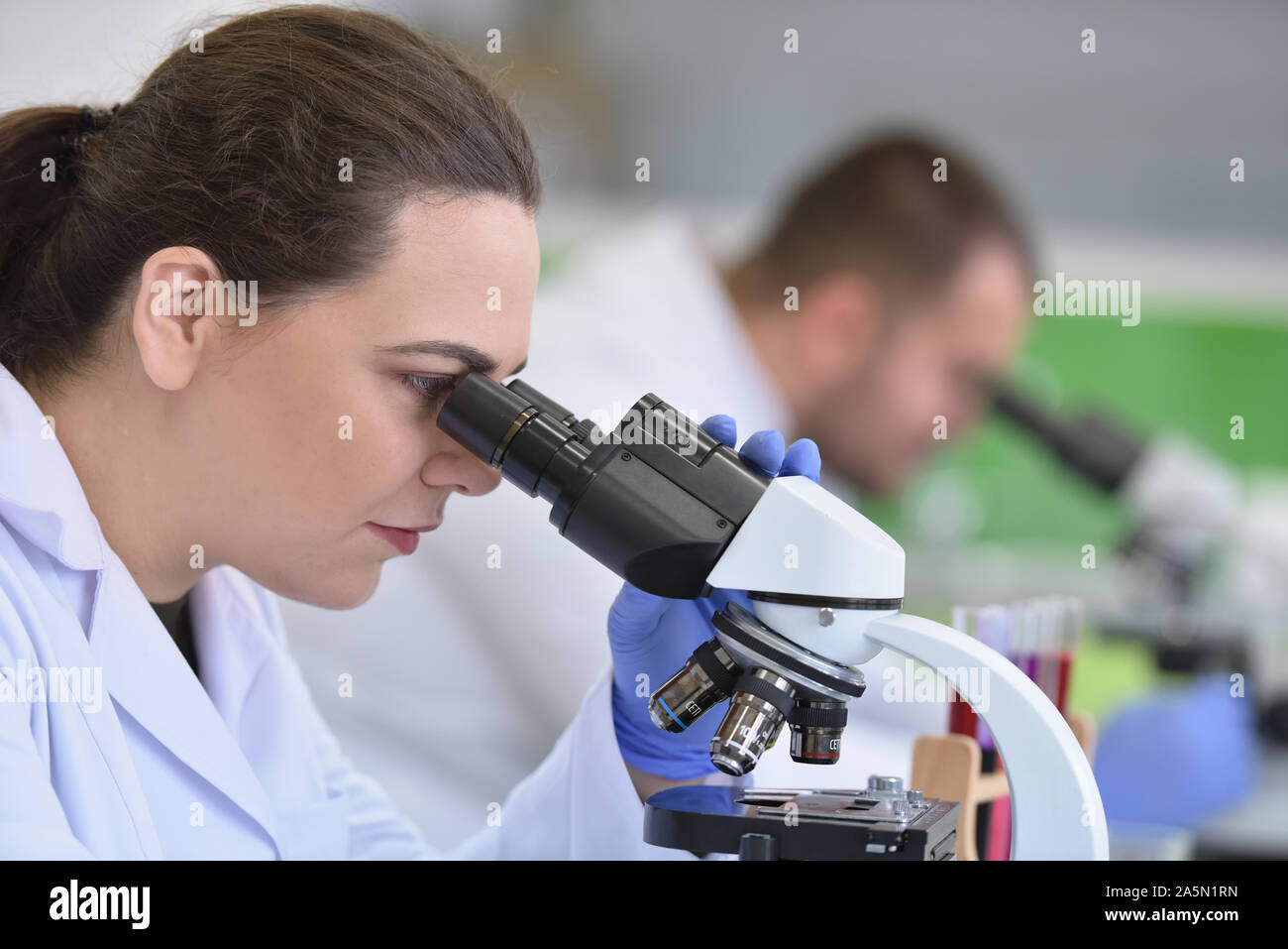 Two Young Female and male Laboratory scientists working at lab with ...