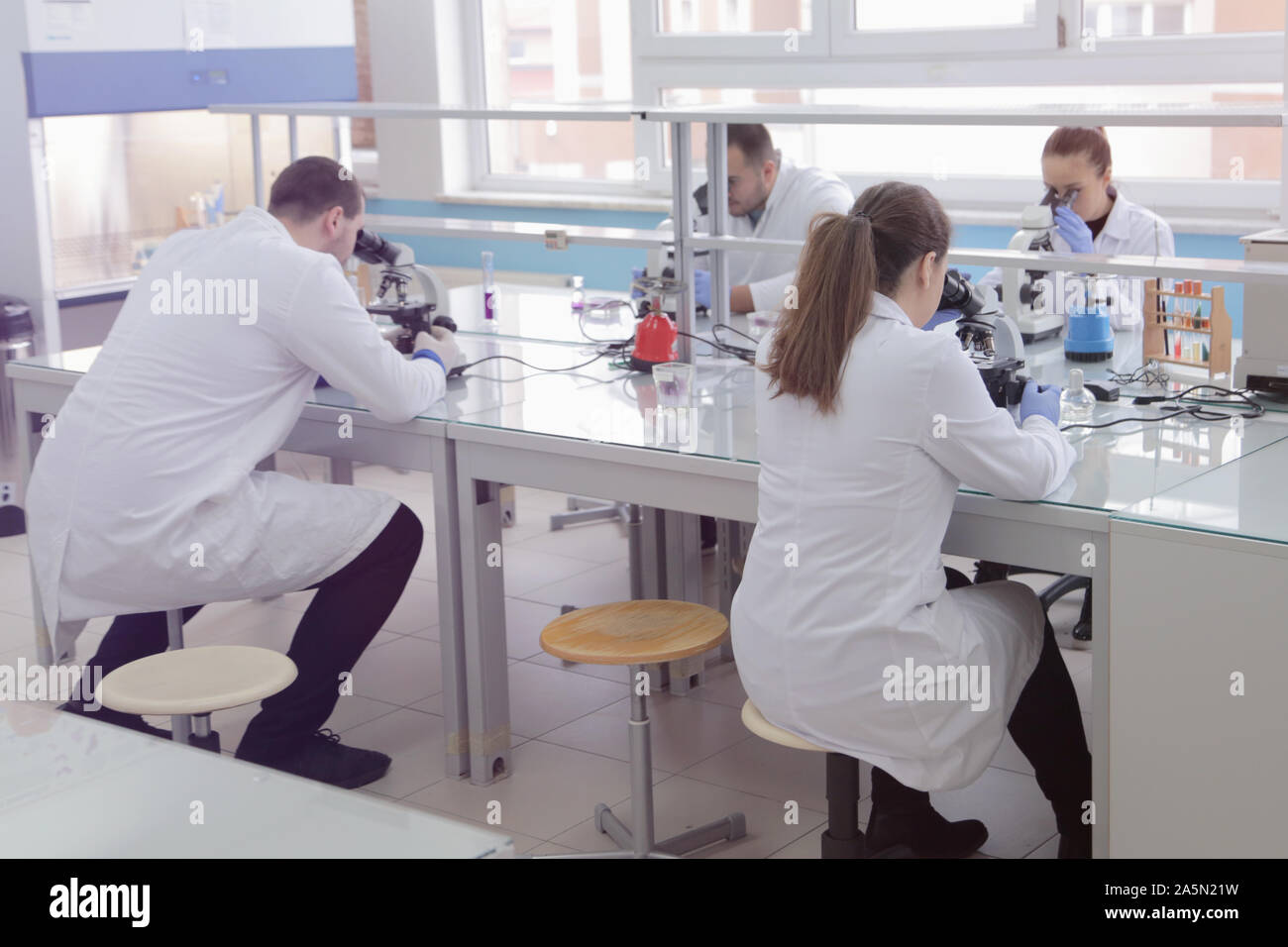 Group of young Laboratory scientists working at lab with test tubes and ...