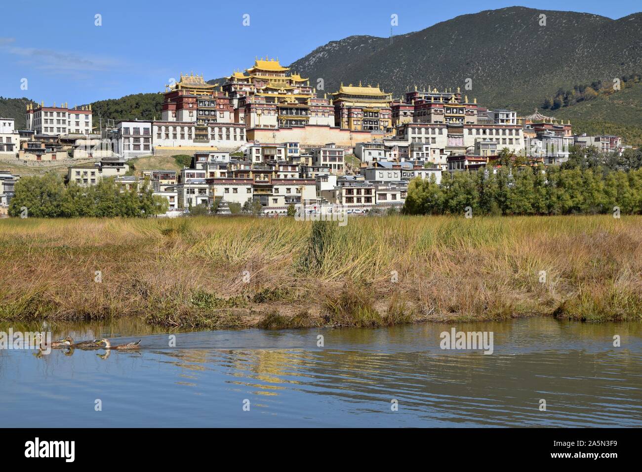 Songzanlin Monastery, the largest Tibetan Buddhism monastery in Yunnan ...