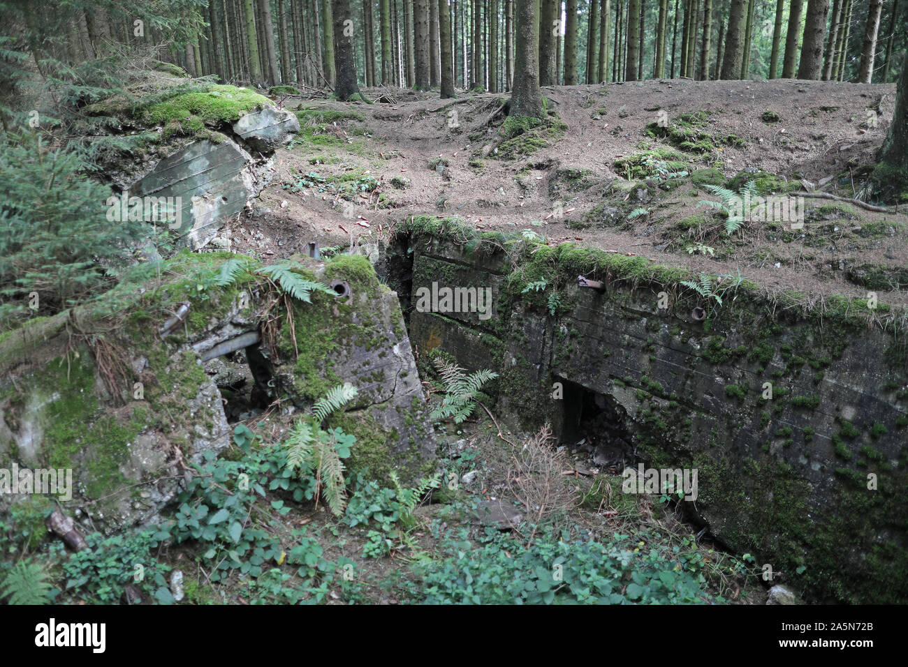 30 years of war battle hi-res stock photography and images - Alamy