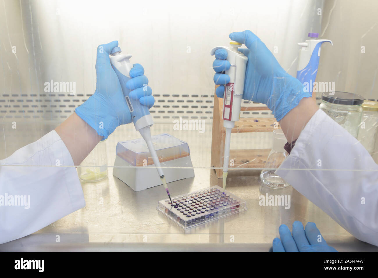 Two young Laboratory scientists working at lab with test tubes and ...