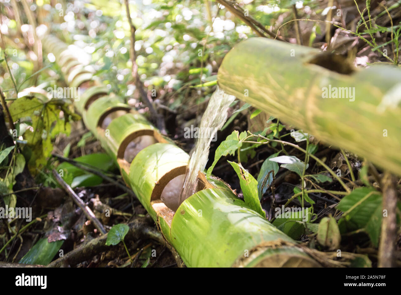 Ingenious bamboo water pipeline / aqueduct in the countryside of Laos Stock Photo - Alamy