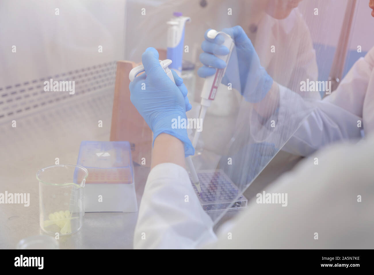 Two young Laboratory scientists working at lab with test tubes and ...