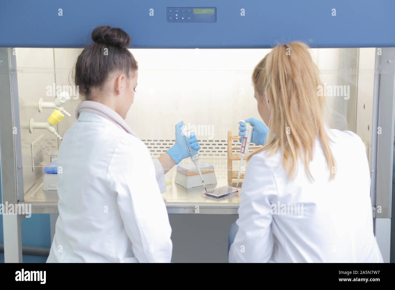 Two young female Laboratory scientists working at lab with test tubes ...
