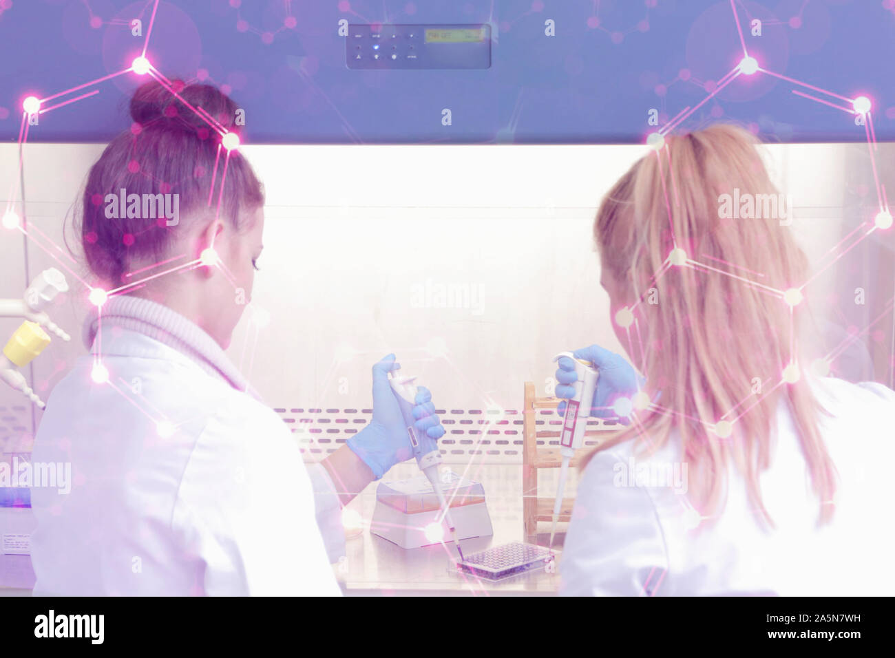 Two young female Laboratory scientists working at lab with test tubes ...