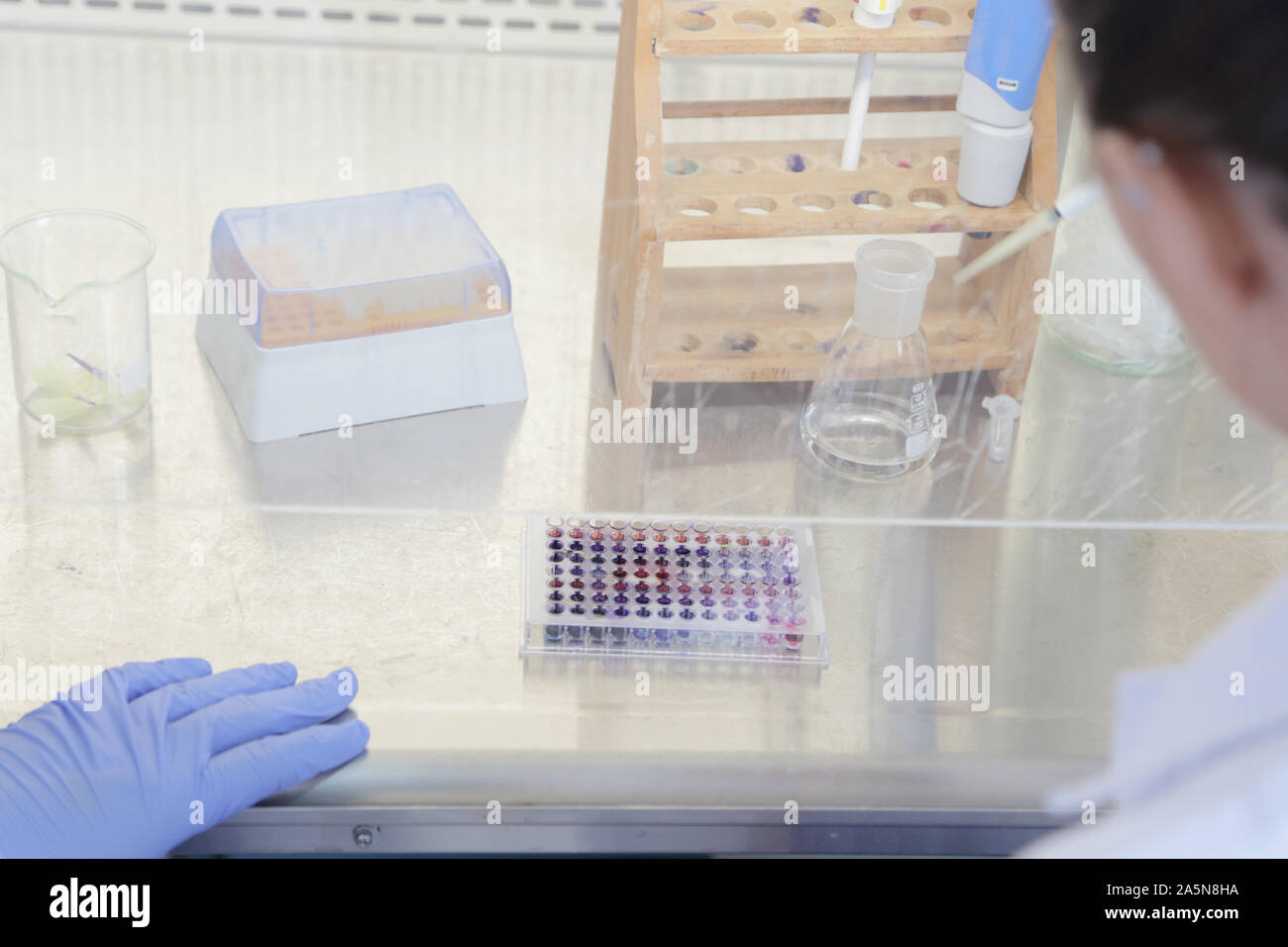 Two young female Laboratory scientists working at lab with test tubes ...