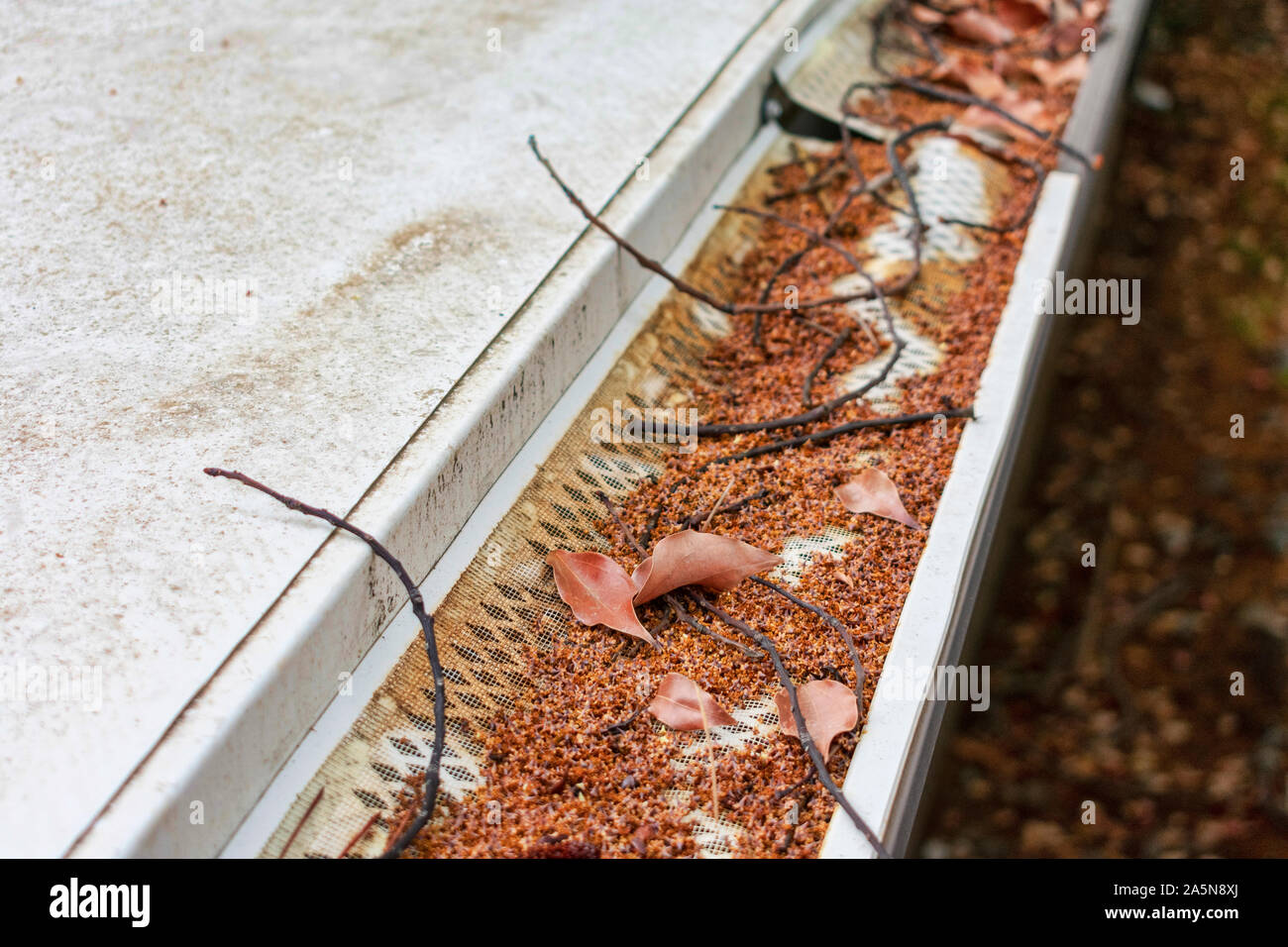 Roof gutter clogged with leaves and other debris. Damaged plastic mesh ...