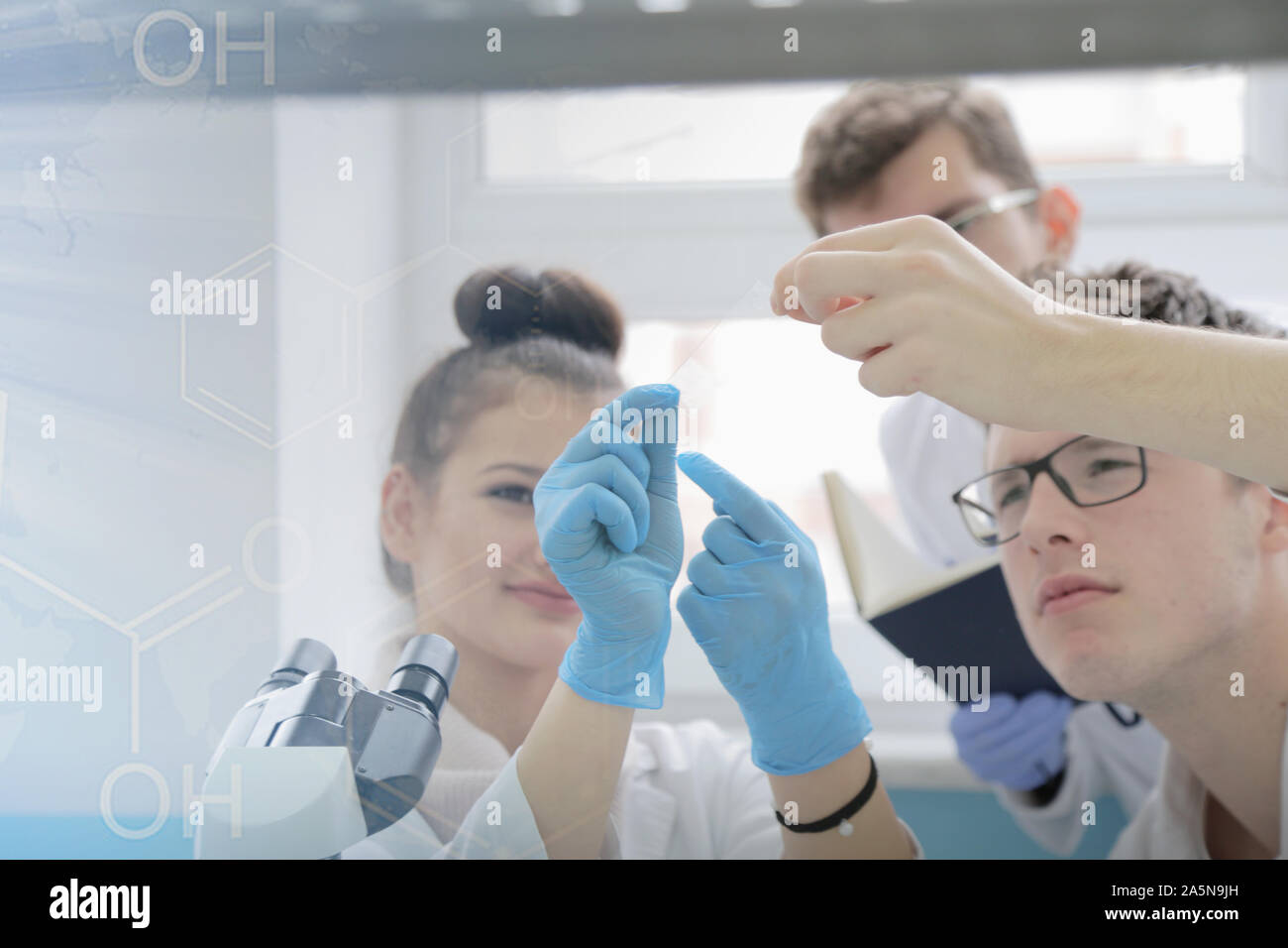 Group scientists working laboratory tubes hi-res stock photography and ...